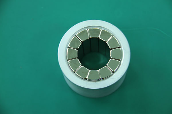 D66x50mm Cylinder Halbach Array